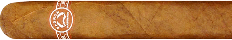 Padron 5000 Natural Review - NH Cigars